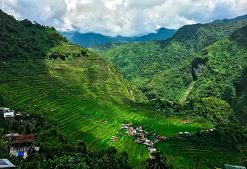 Amazing Rice Terraces: A Journey to the Stairways to the Sky